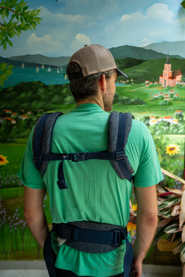 Artipoppe vs. Ergobaby - I Tried Both So You Don't Have To!